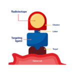 Novartis to add radioligand therapy manufacturing facility in Winter ...